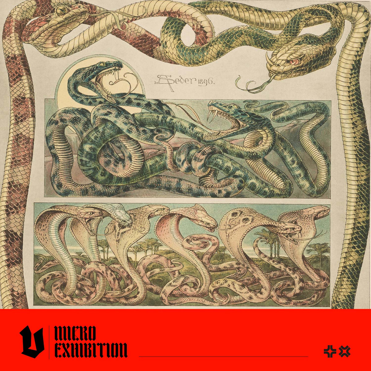 Discover The Timeless Influence of Anton Seder's Art Nouveau Designs