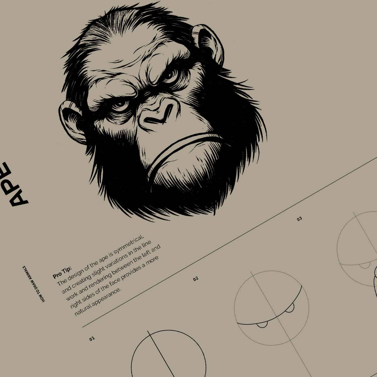 How to Draw Animals Book